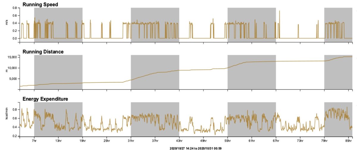 啮齿动物代谢和行为笼 – Sable Systems International